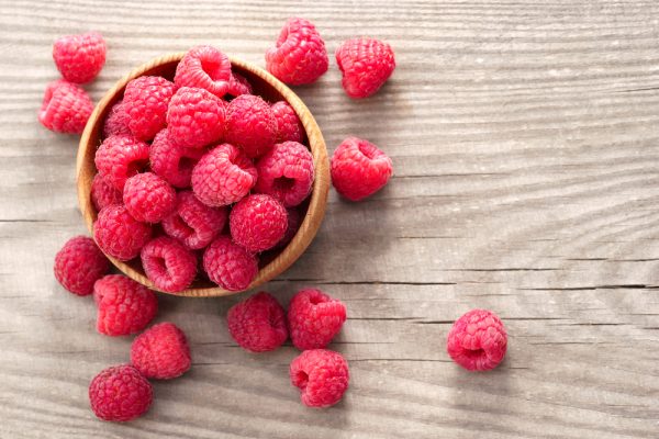 What Berries Can Dogs Eat? Vet-Verified Nutrition Facts & FAQ – Dogster