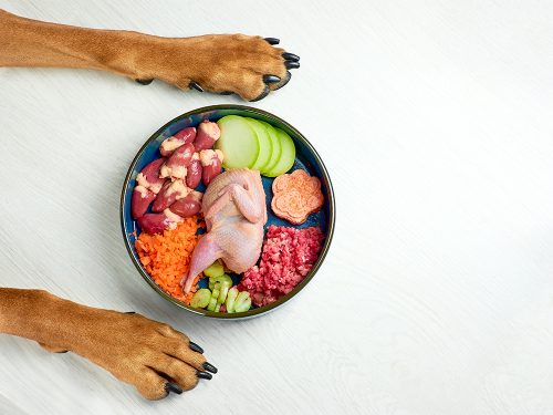 Raw Dog Food Diet Plan: Vet-Approved Guide to Get Started – Dogster