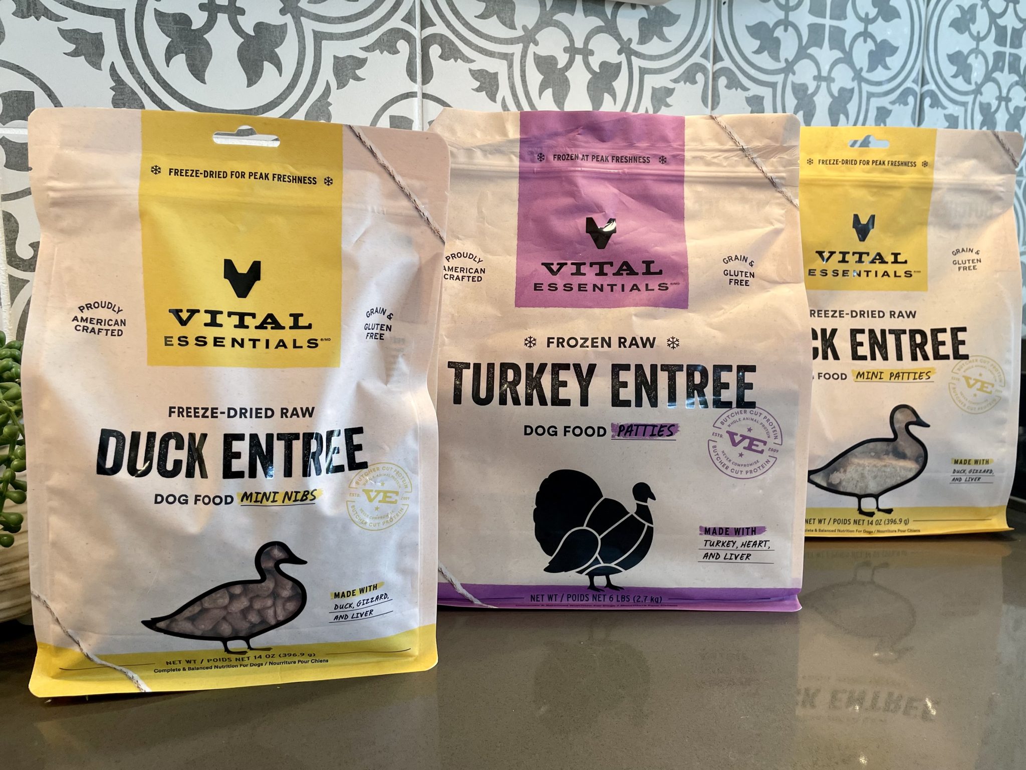 Vital Essentials Dog Food Review 2025: An Expert's Breakdown – Dogster