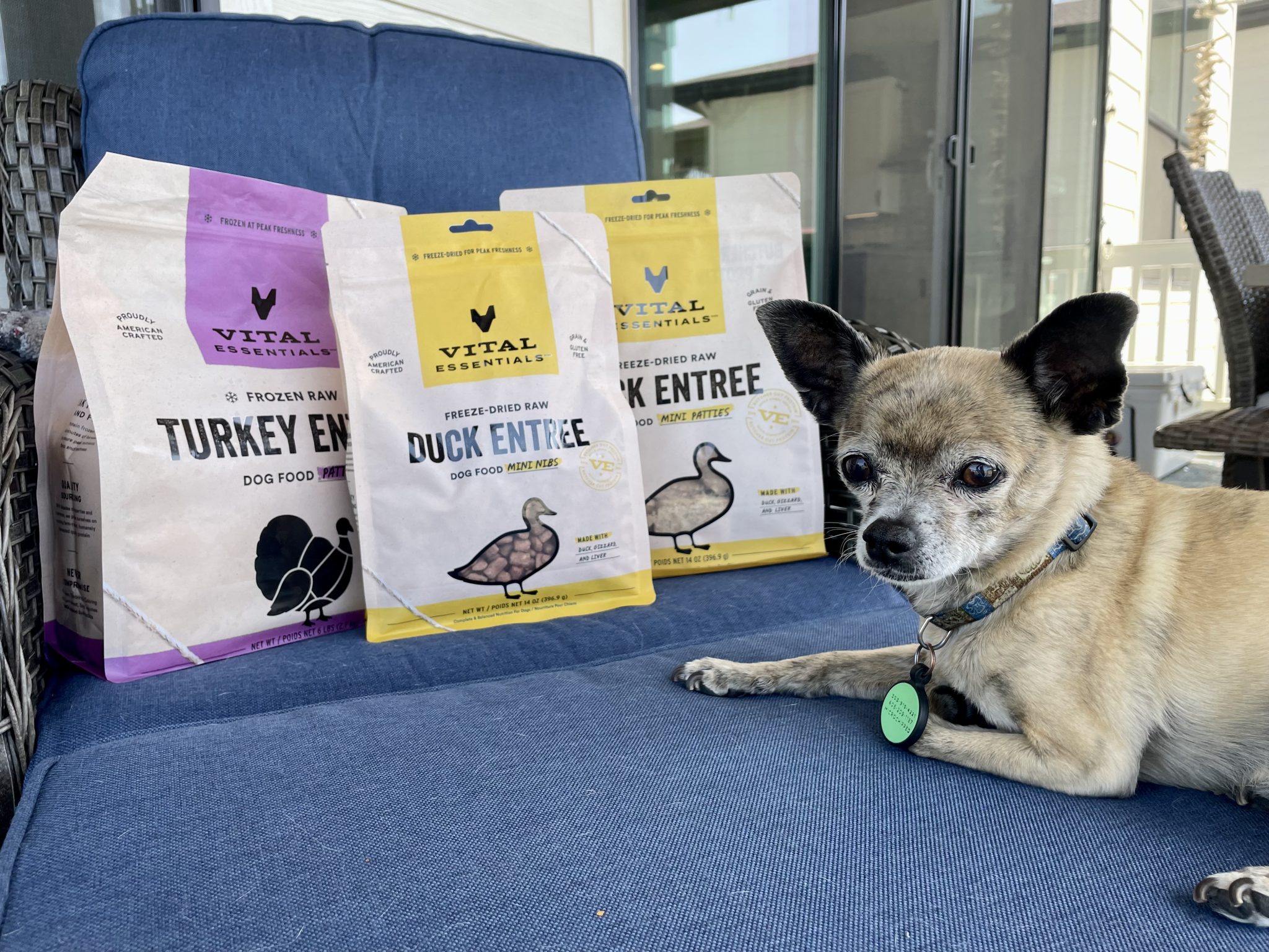 Vital Essentials Dog Food Review 2026: An Expert's Breakdown – Dogster