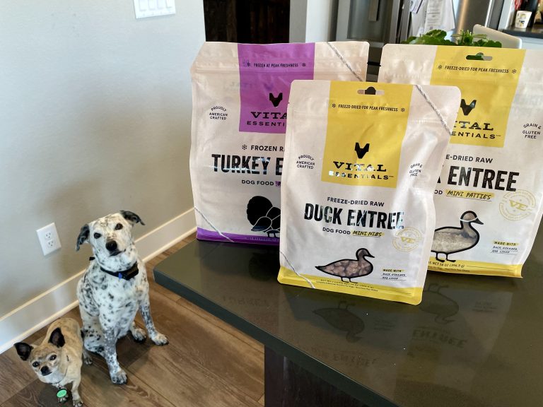 Vital Essentials Dog Food Review 2025: An Expert's Breakdown – Dogster
