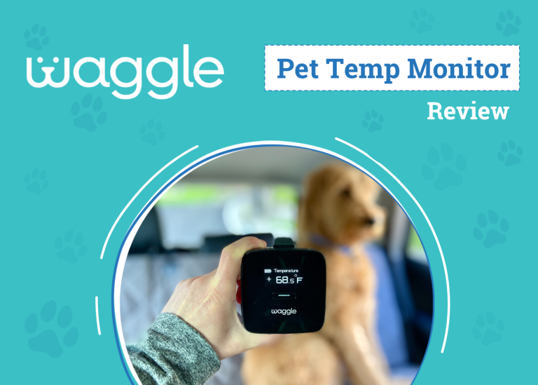 Waggle Pet Monitor Pro+ Review 2026: An Expert's Breakdown – Dogster