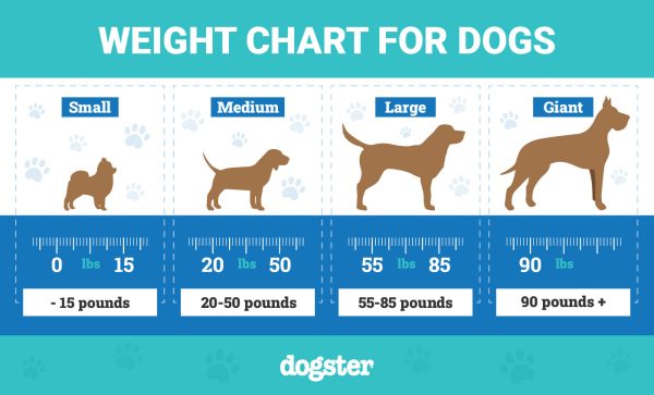 How Heavy Should My Dog Be? Vet-Approved Ideal Weight Chart – Dogster