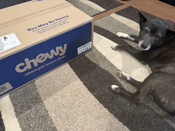 Lorraina and the Chewy Box: An Unhealthy Relationship – Dogster