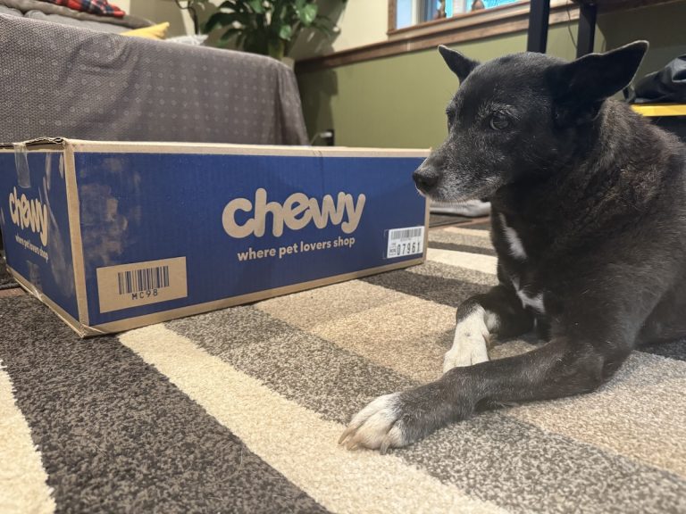 Lorraina and the Chewy Box: An Unhealthy Relationship – Dogster