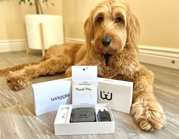 Waggle Pet Monitor Pro+ Review 2026: An Expert's Breakdown – Dogster