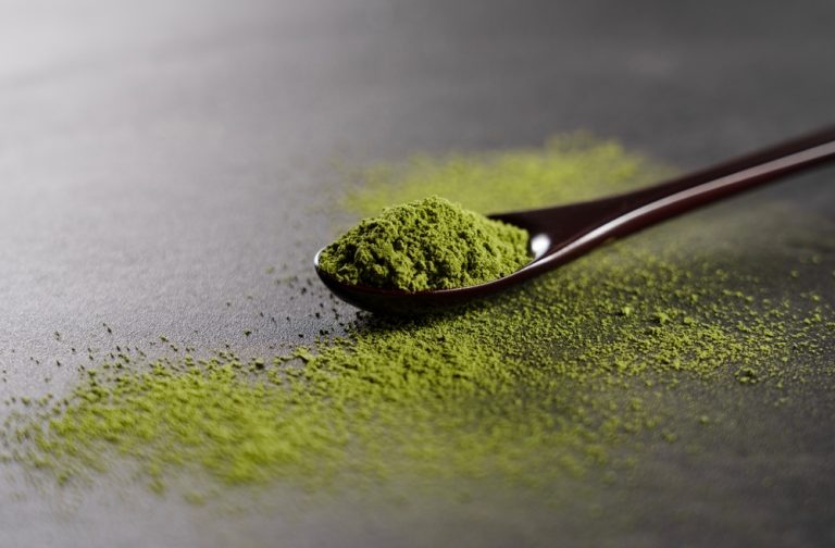 Can Dogs Have Matcha? Vet-Verified Dangers & FAQ – Dogster