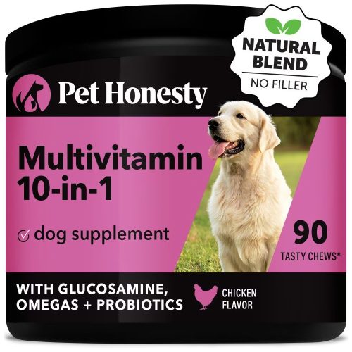 10 Best Dog Supplements In 2026 - Reviews & Top Picks – Dogster