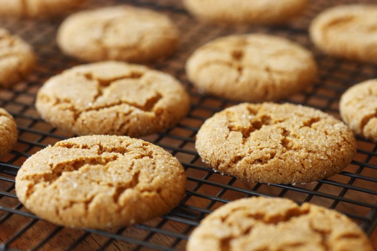 Can Dogs Eat Ginger Snaps? Vet-Verified Facts & Explanation – Dogster