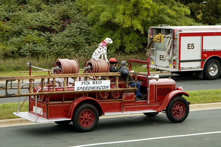 Why Are Dalmatians Associated With Firemen? Breed History in the Fire ...