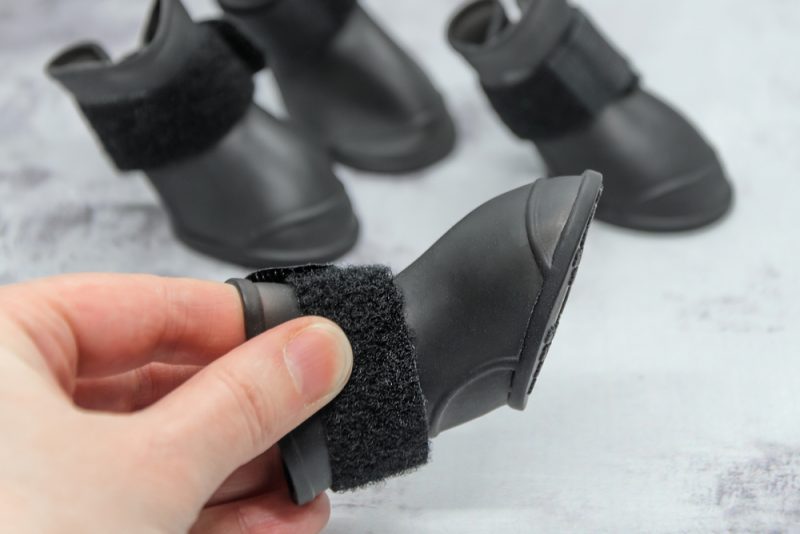 How to Protect Dog Paws in Winter: 10 Vet-Reviewed Tips & Tricks – Dogster