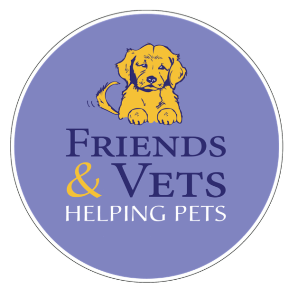 15 Organizations That Help With Vet Bills (2026 Update) – Dogster