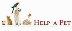 15 Organizations That Help With Vet Bills (2025 Update) – Dogster