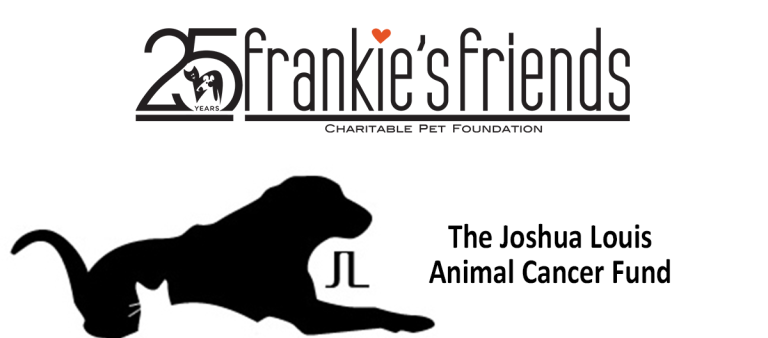 15 Organizations That Help With Vet Bills (2025 Update) – Dogster