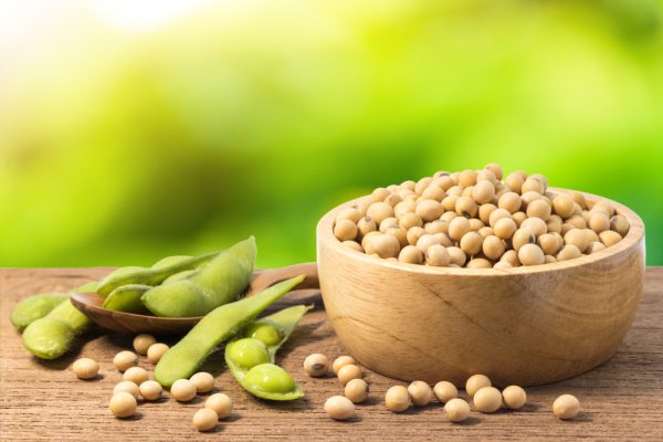 Can Dogs Eat Soy? Vet-Reviewed Nutrition Facts & Info – Dogster