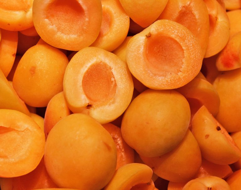 Can Dogs Eat Apricots? Vet-Verified Nutrition Facts & Precautions – Dogster