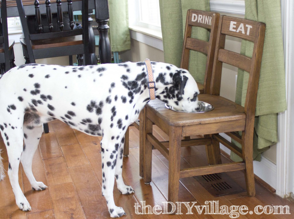 10 DIY Gifts for Dogs You Can Make for Your Favorite Pooch – Dogster