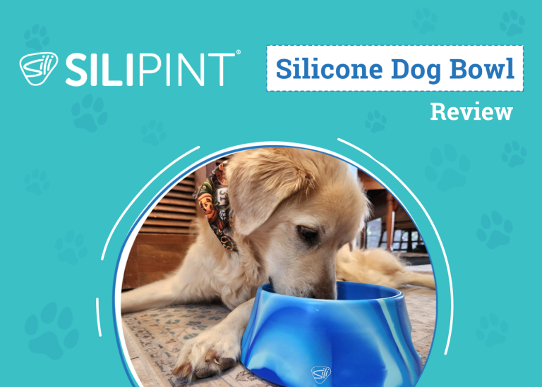 Silipint Silicone Aqua-Fur Dog Bowl Review 2026: An Expert’s Breakdown ...