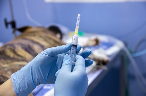Dog Sedation vs. Anesthesia: Vet-Verified Facts & Explanation – Dogster