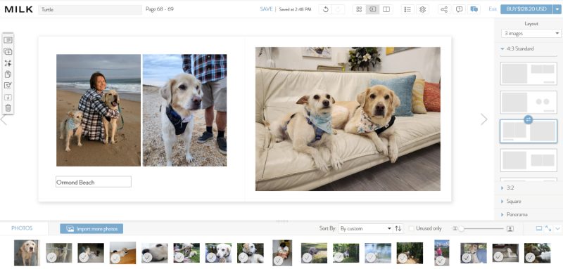 MILK Books Photobook Review 2025: Our Thoughts on Turtle's Keepsake ...