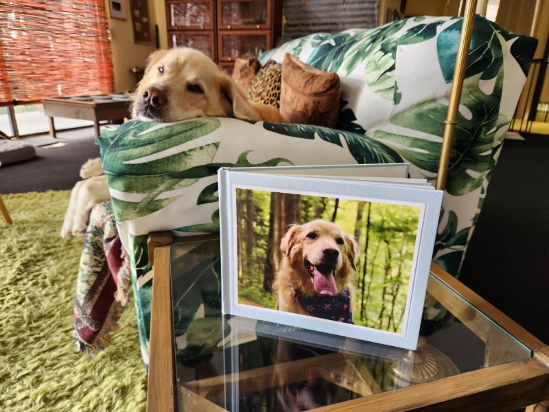 MILK Books Photobook Review 2025: Our Thoughts on Turtle's Keepsake ...