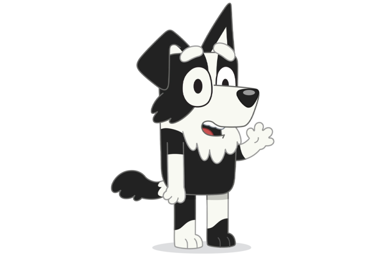 What Kind of Dog Is Mackenzie from Bluey? Breed Facts & Explanation ...