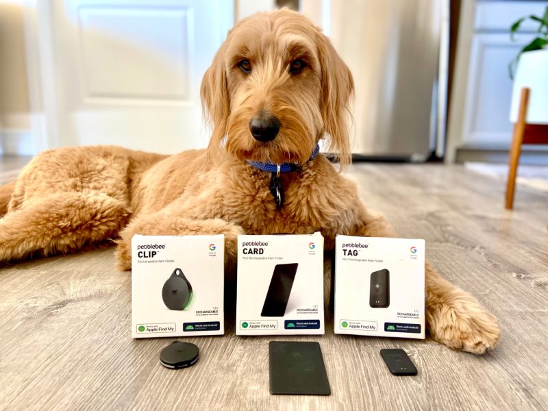 Pebblebee Bluetooth Tracker Reviews 2025: An Expert’s Breakdown – Dogster