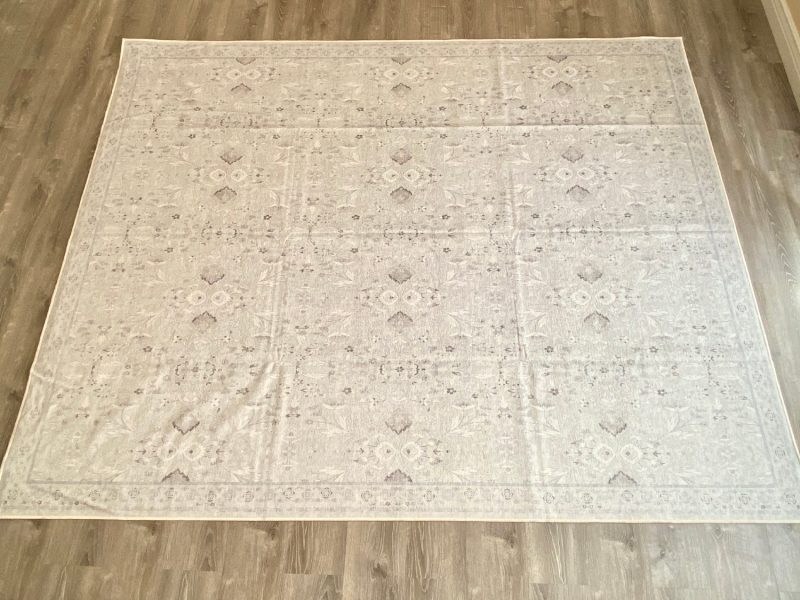 Tumble Rug Review 2025: An Expert’s Breakdown – Dogster