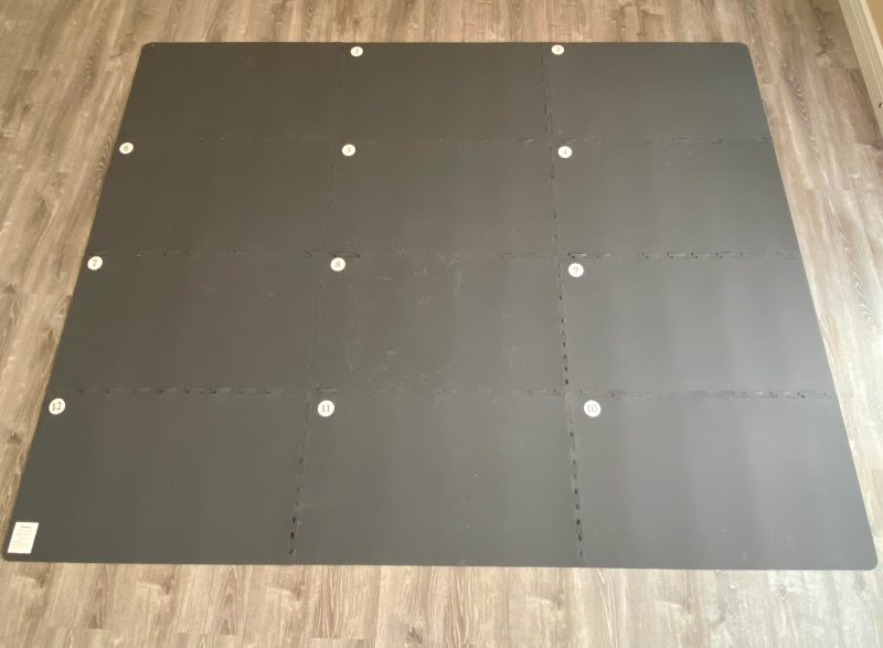 Tumble Rug Review 2025: An Expert’s Breakdown – Dogster