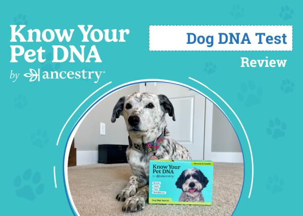 Know Your Pet DNA by Ancestry Review 2025: Our Experience Building Ragz ...