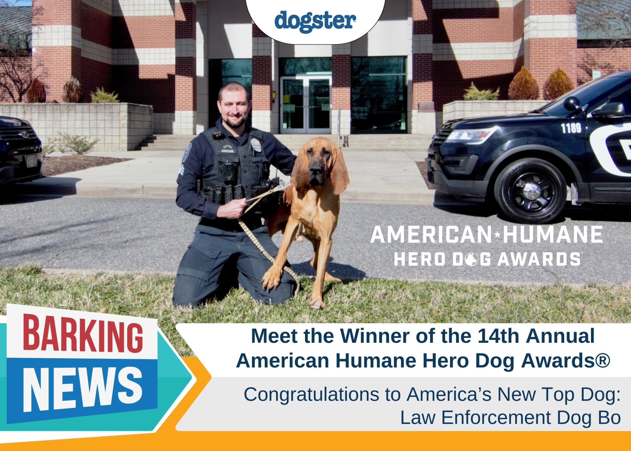 Meet the Winner of the 14th Annual American Humane Hero Dog Awards ...