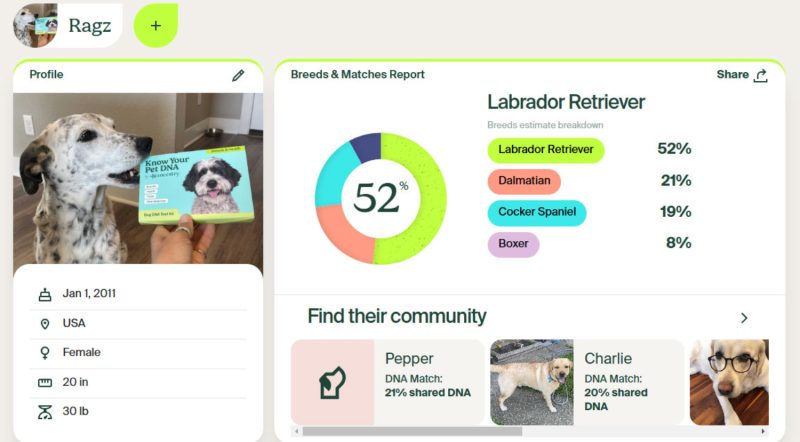 Know Your Pet DNA by Ancestry Review 2026: Our Experience Building Ragz ...