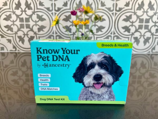 Know Your Pet DNA by Ancestry Review 2026: Our Experience Building Ragz ...