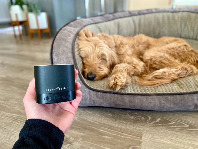 Sound Oasis Pet Sound Therapy System Review 2025: How the Power of ...