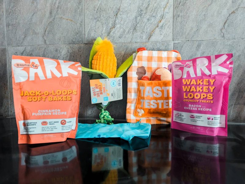 BarkBox Subscription Review 2025: Keeping Your Dog Excited Month After ...