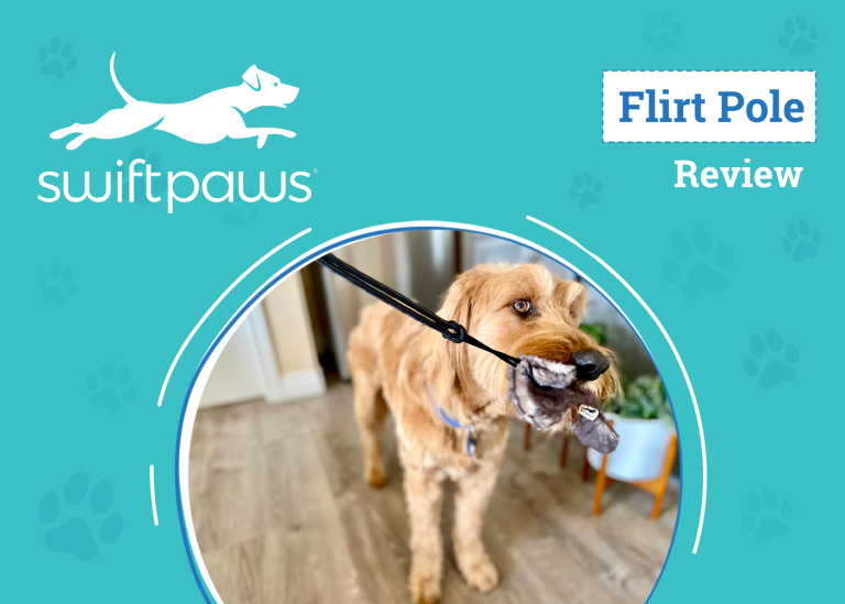 SwiftPaws Flirt Pole Review 2025: The Ultimate Toy to Exercise Your Pup ...