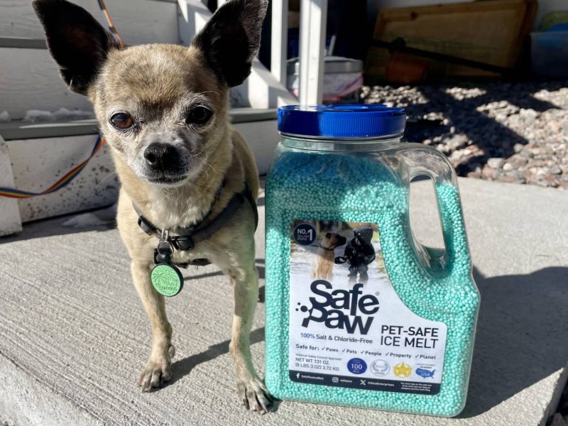 Safe Paw Ice Melter Review 2026: A Pet-Friendly Way to De-Ice – Dogster
