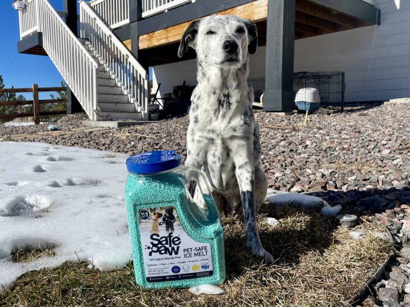 Safe Paw Ice Melter Review 2026: A Pet-Friendly Way to De-Ice – Dogster