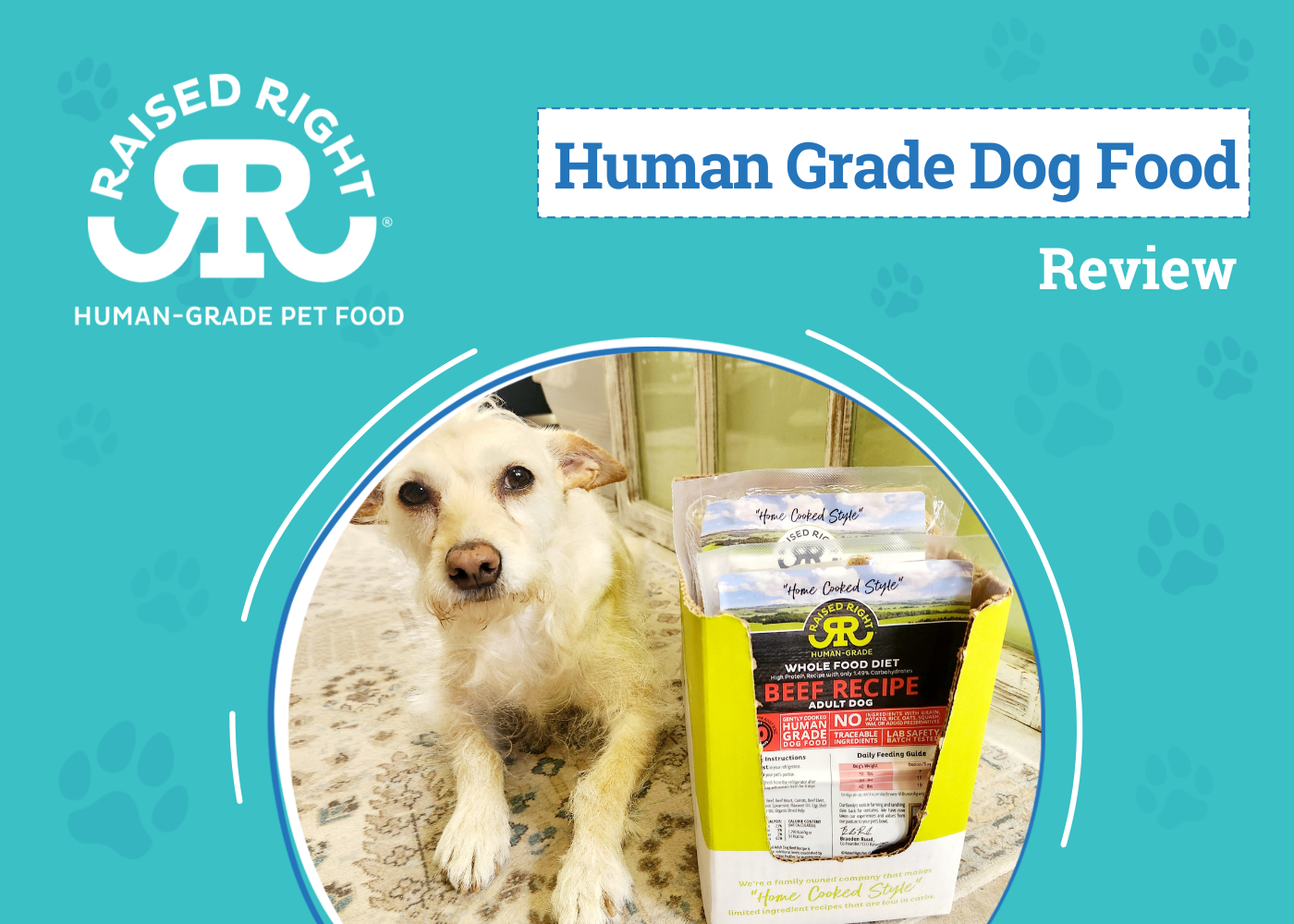 Raised Right Human-Grade Dog Food Review 2025: Veterinarian-Backed Dog Food – Dogster
