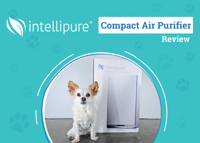 Intellipure Compact Air Purifier Review 2026: Next-Gen Filtration in a ...