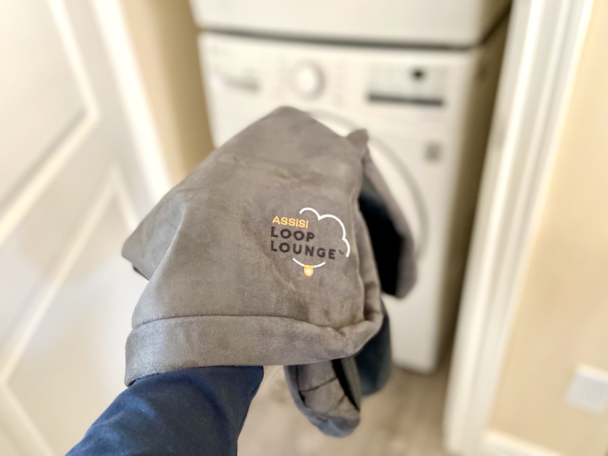 Assisi LOOP Lounge Review 2026: A Natural Way to Heal Your Pet – Dogster