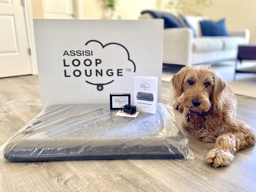 Assisi LOOP Lounge Review 2026: A Natural Way to Heal Your Pet – Dogster