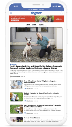Can Dogs Eat Chives? Vet-Verified Nutrition Facts & FAQ – Dogster