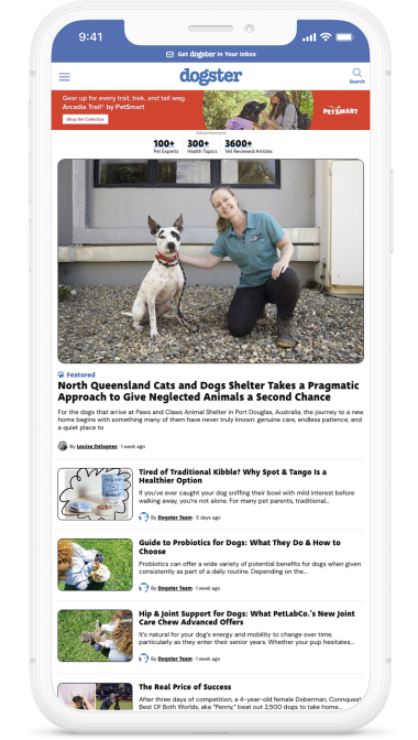 Can Dogs Eat Chives? Vet-Verified Nutrition Facts & FAQ – Dogster