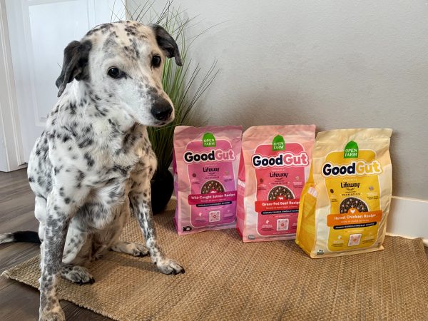Open Farm GoodGut Dog Food Review 2026: Pros, Cons & Final Verdict ...