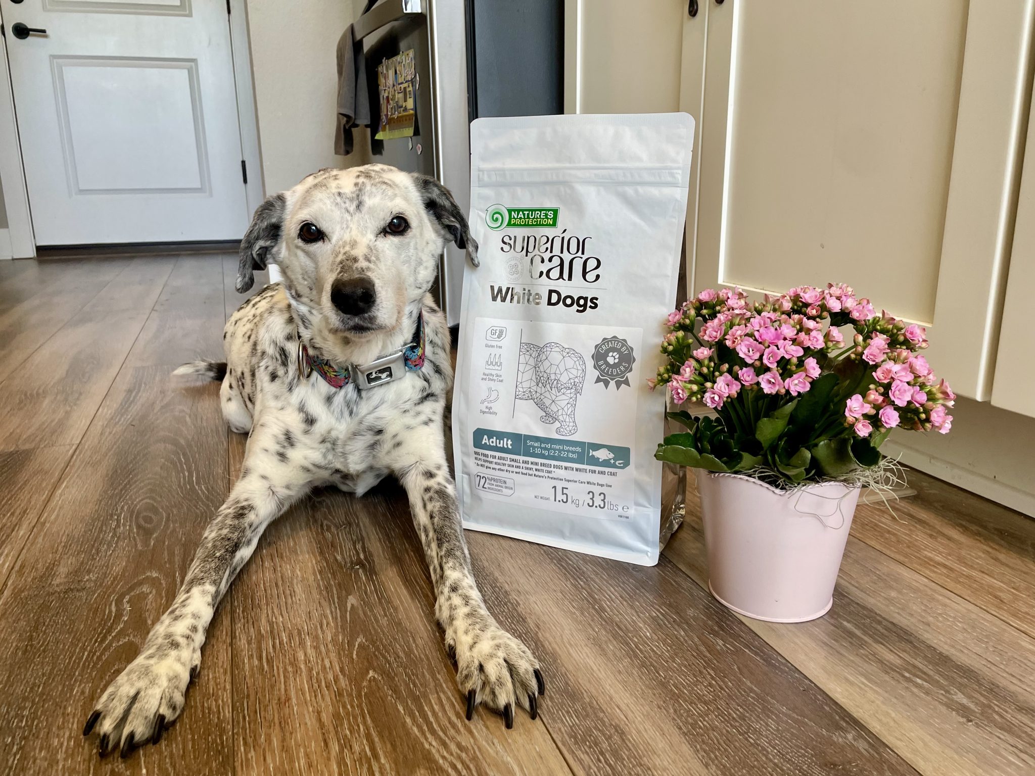 Superior Care White Dogs Grain-Free Small Breed Dog Food Review 2026 ...